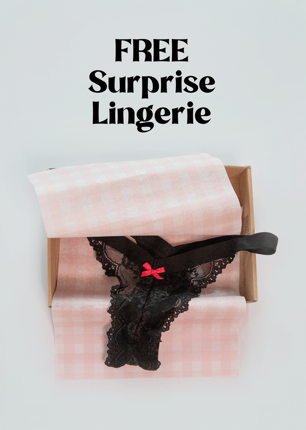 Free Surprise Lingerie Lioa Lingerie